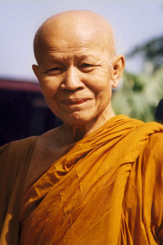 the deathless citta | dhamma footsteps
